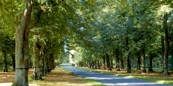 Simon Greaves – Views, thoughts, opinions